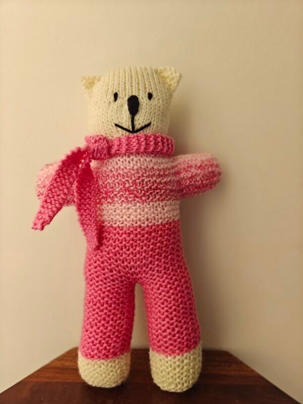 Teddy Buddy
